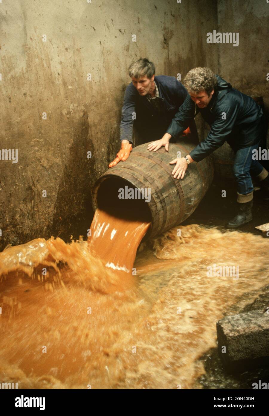 Customs and Excise officers emptying barrels of 'The Wash' fermented ...