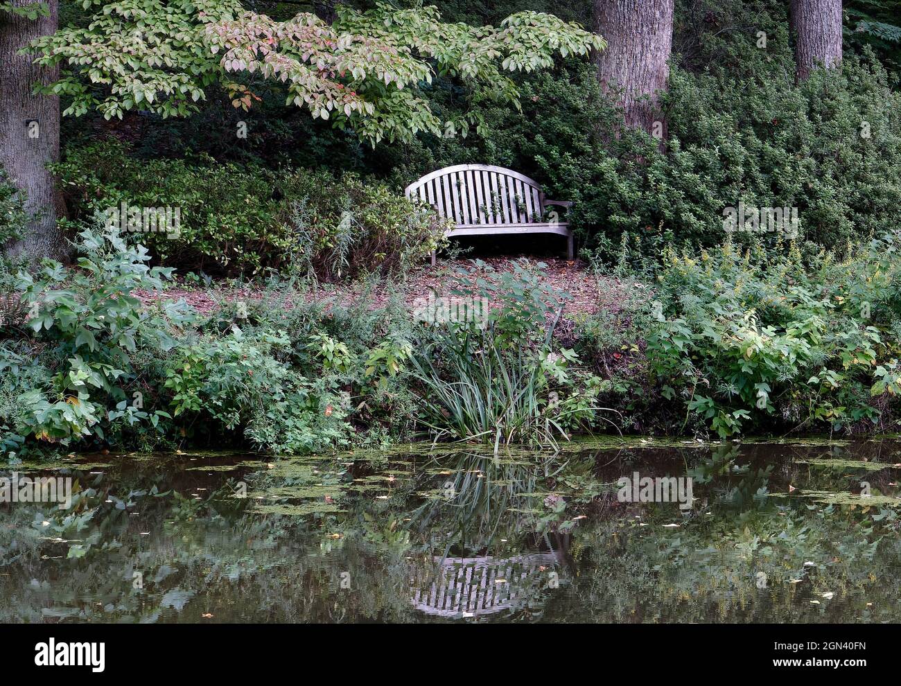 Park bench reflected in a pond Stock Photo - Alamy