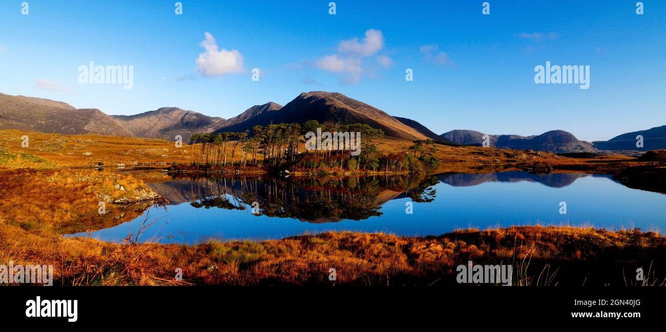 An Autumn day at Pine Island, Derryclare Lake, Connemara, County Galway ...