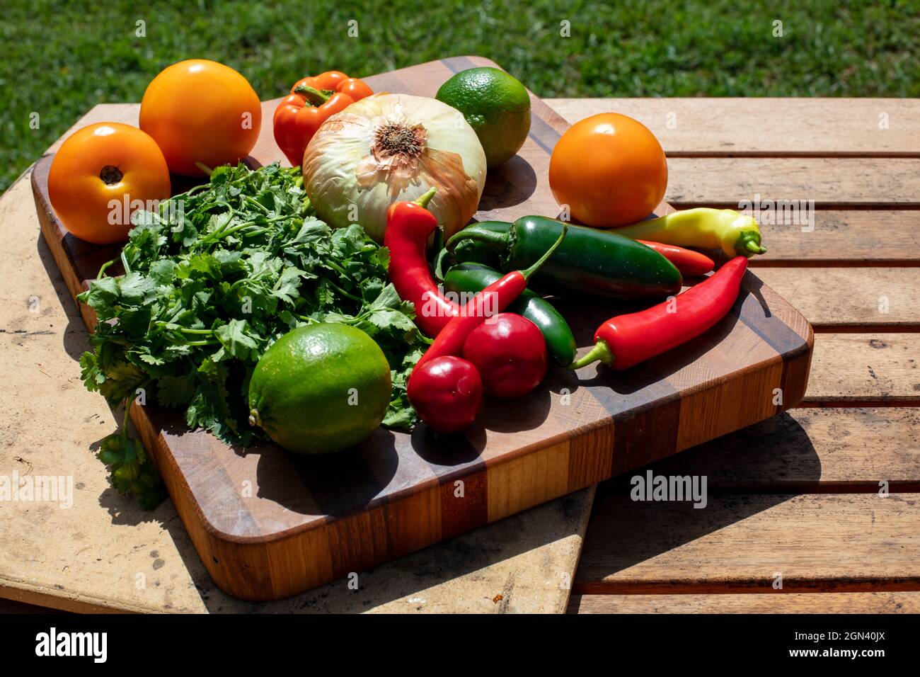 Fresh fruits and vegetables required in the creation of amazing salsa ...