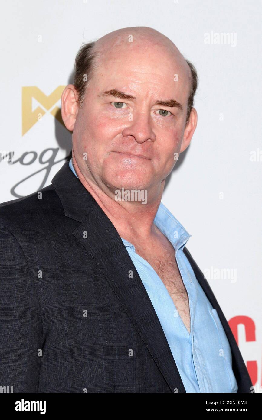 David Koechner Anchorman