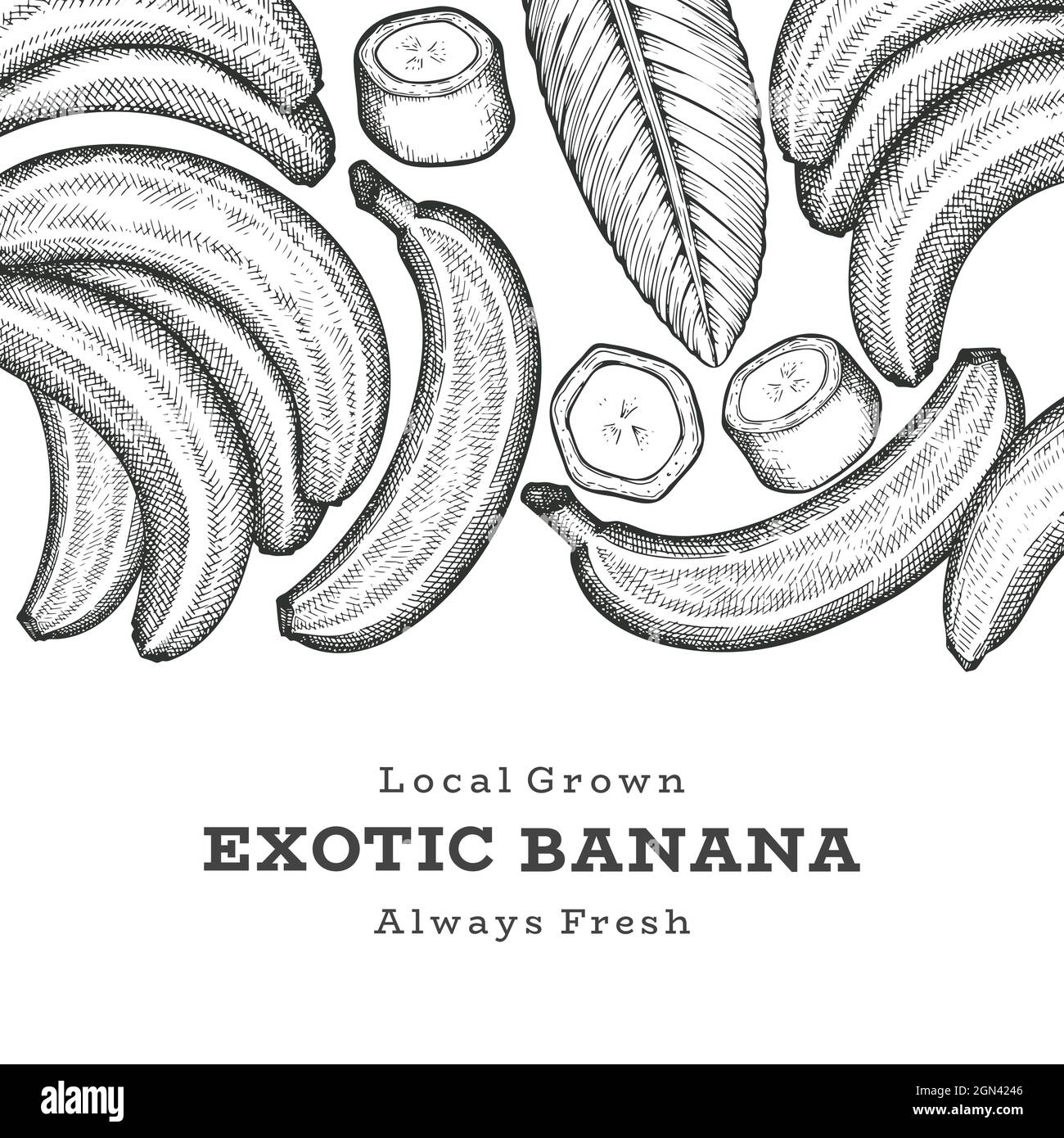 Hand drawn sketch style banana banner. Organic fresh fruit vector ...