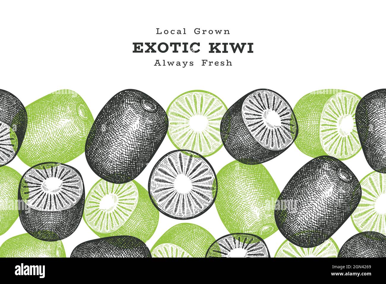 Hand drawn sketch style kiwi banner. Organic fresh fruit vector ...