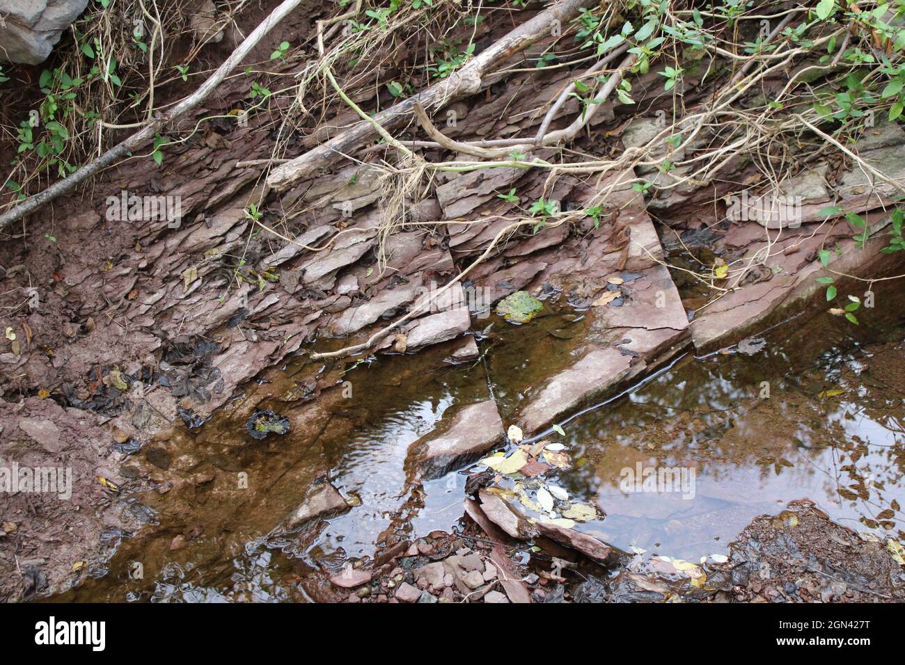 Straight line formation hi-res stock photography and images - Alamy