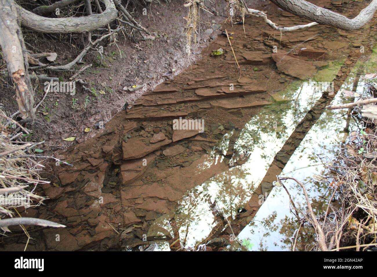 Jersey creek hi-res stock photography and images - Alamy