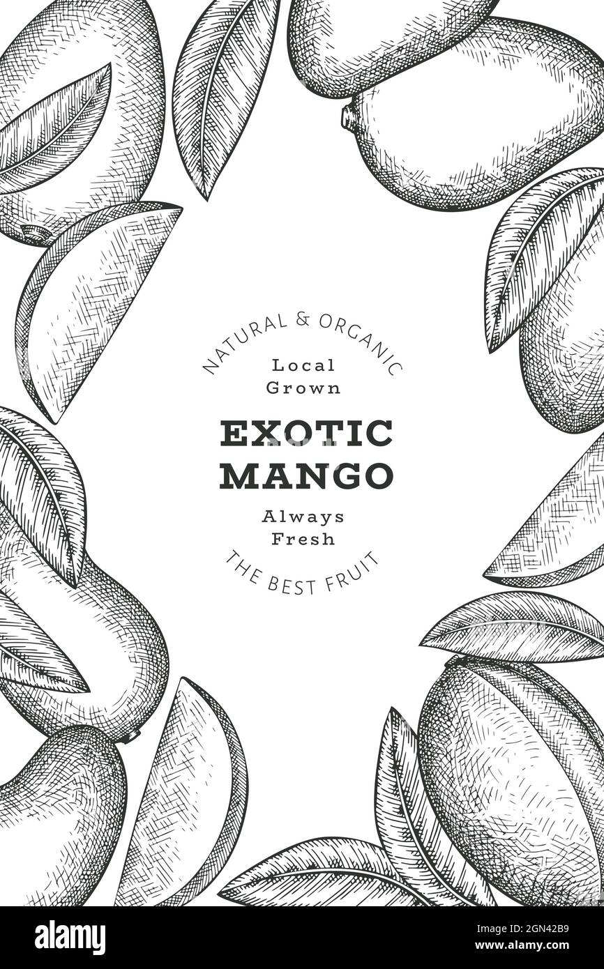 Hand drawn sketch style mango banner. Organic fresh fruit vector ...