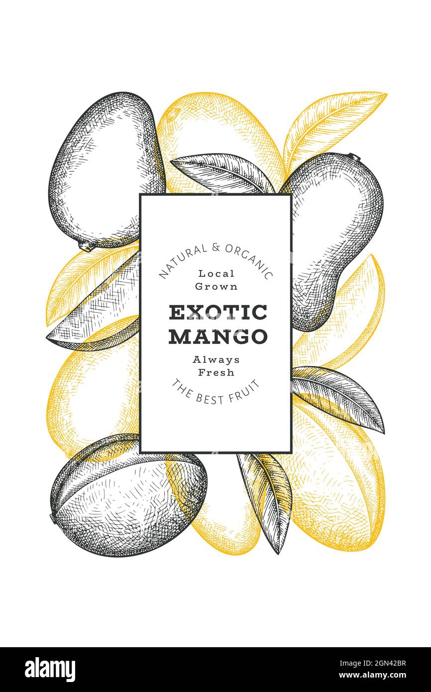 Hand drawn sketch style mango banner. Organic fresh fruit vector ...