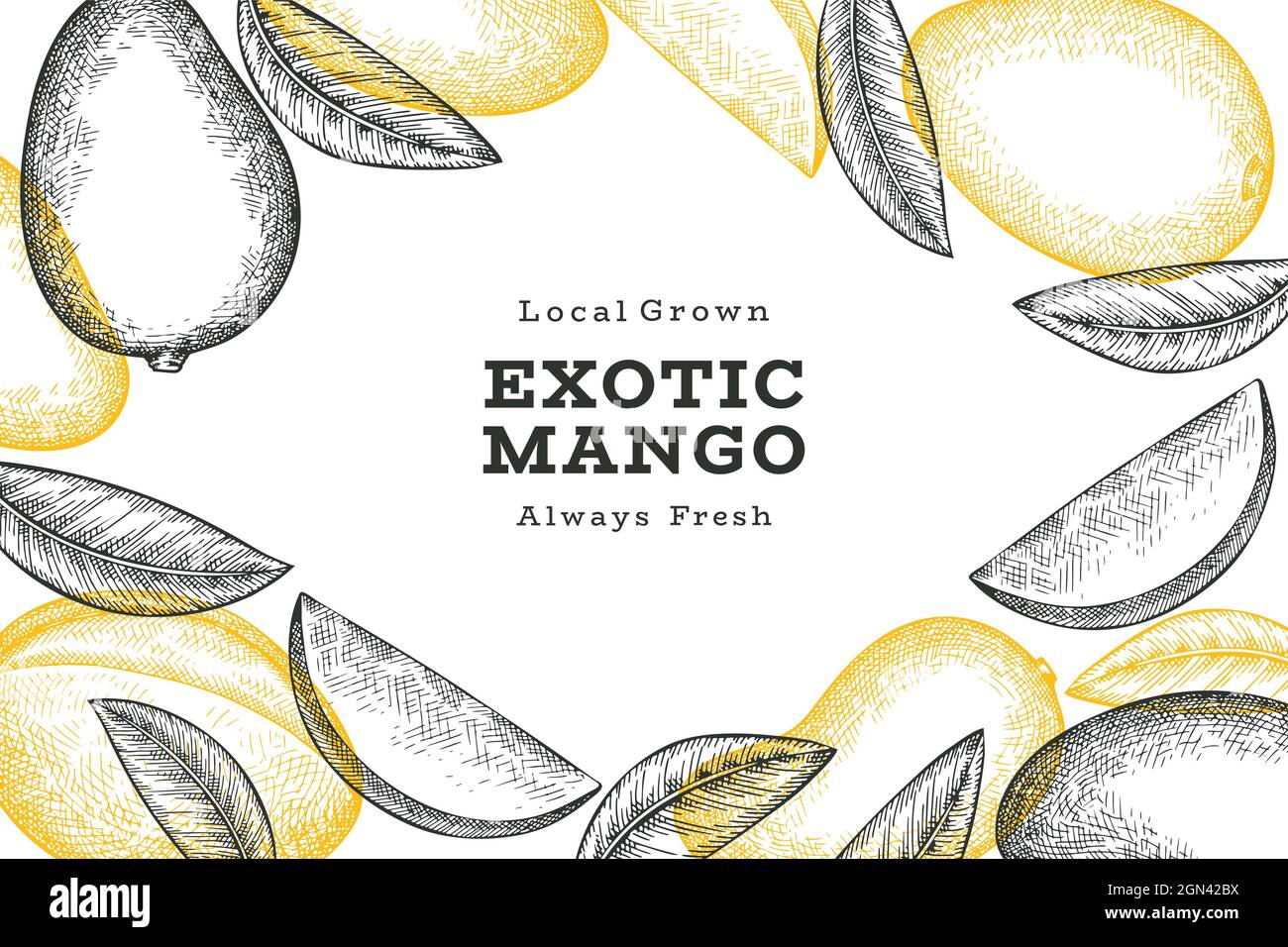 Hand drawn sketch style mango banner. Organic fresh fruit vector ...