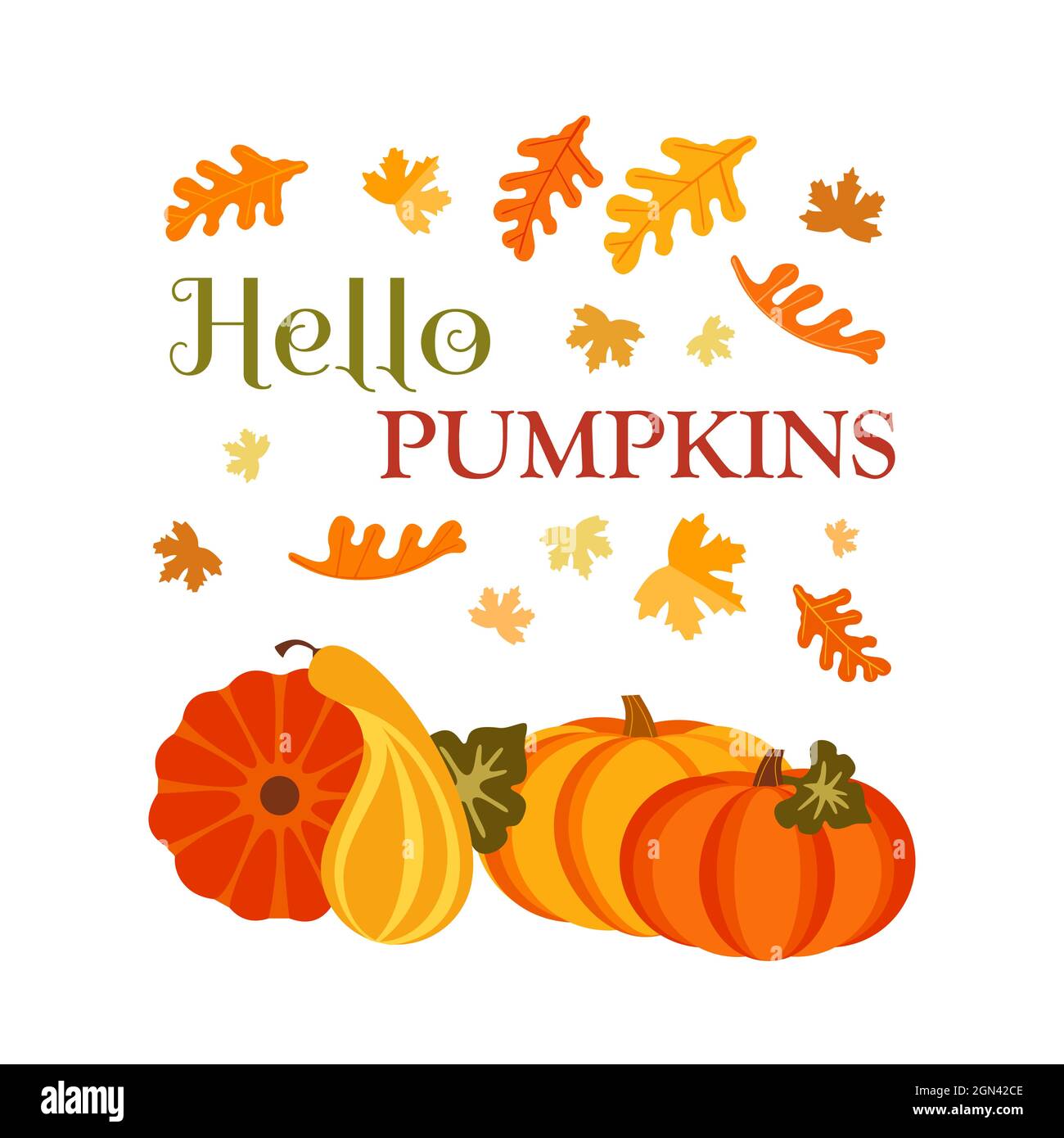 Autumn Fall Harvest Pumpkins Stock Vector Image & Art - Alamy