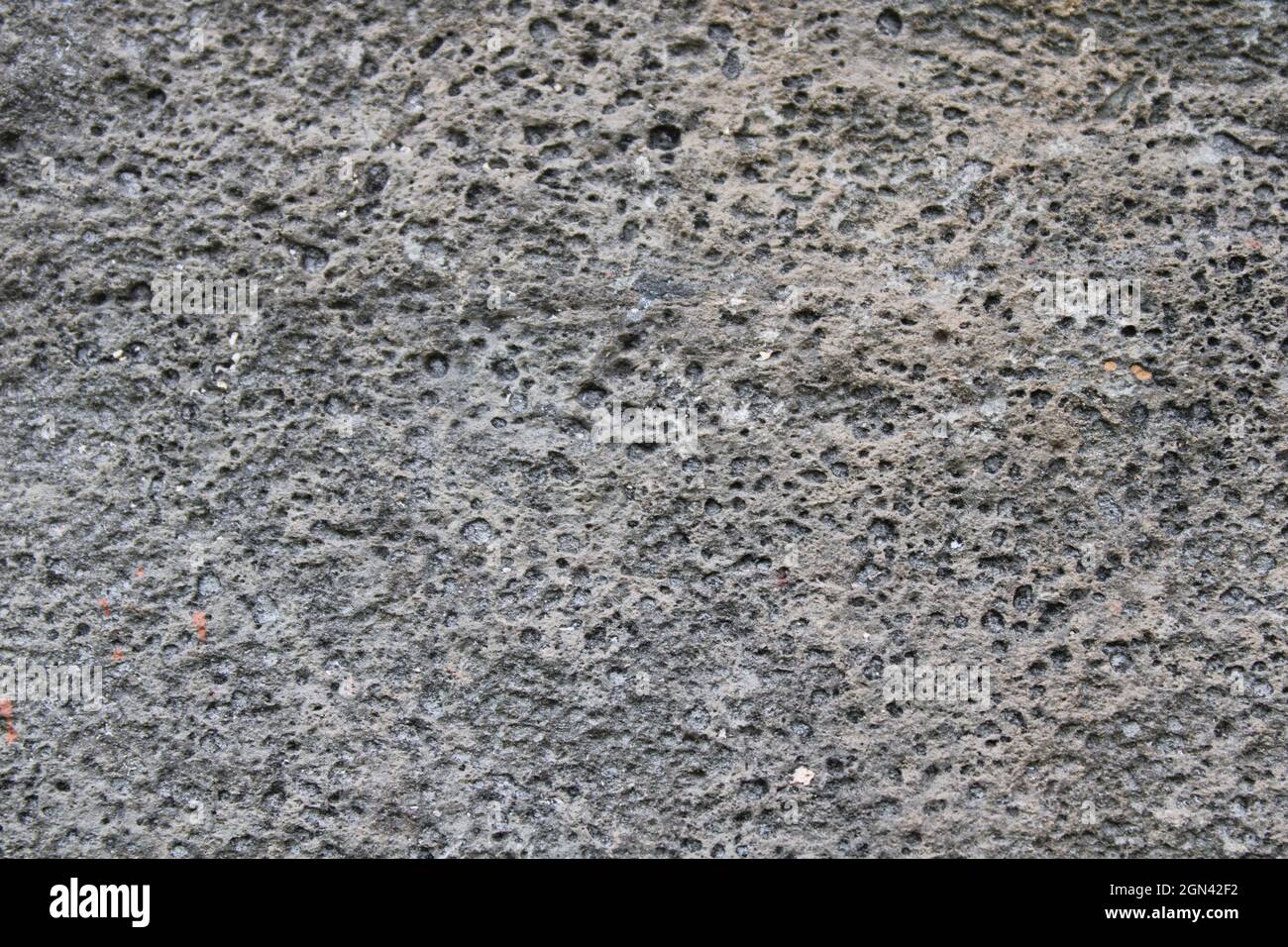 Porous small hi-res stock photography and images - Alamy