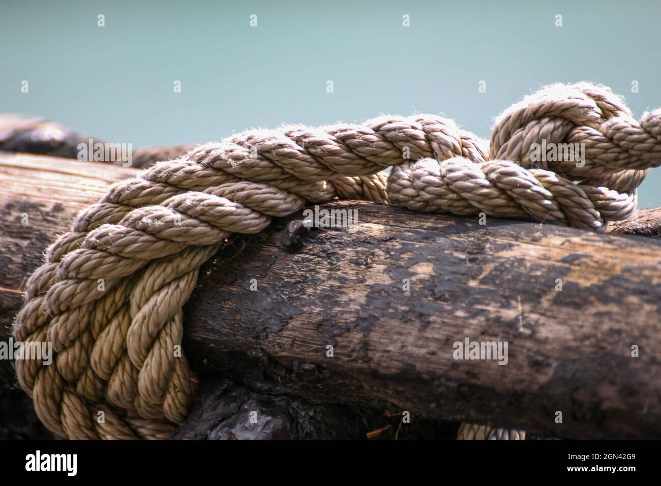 Rope tied tree log hi-res stock photography and images - Alamy