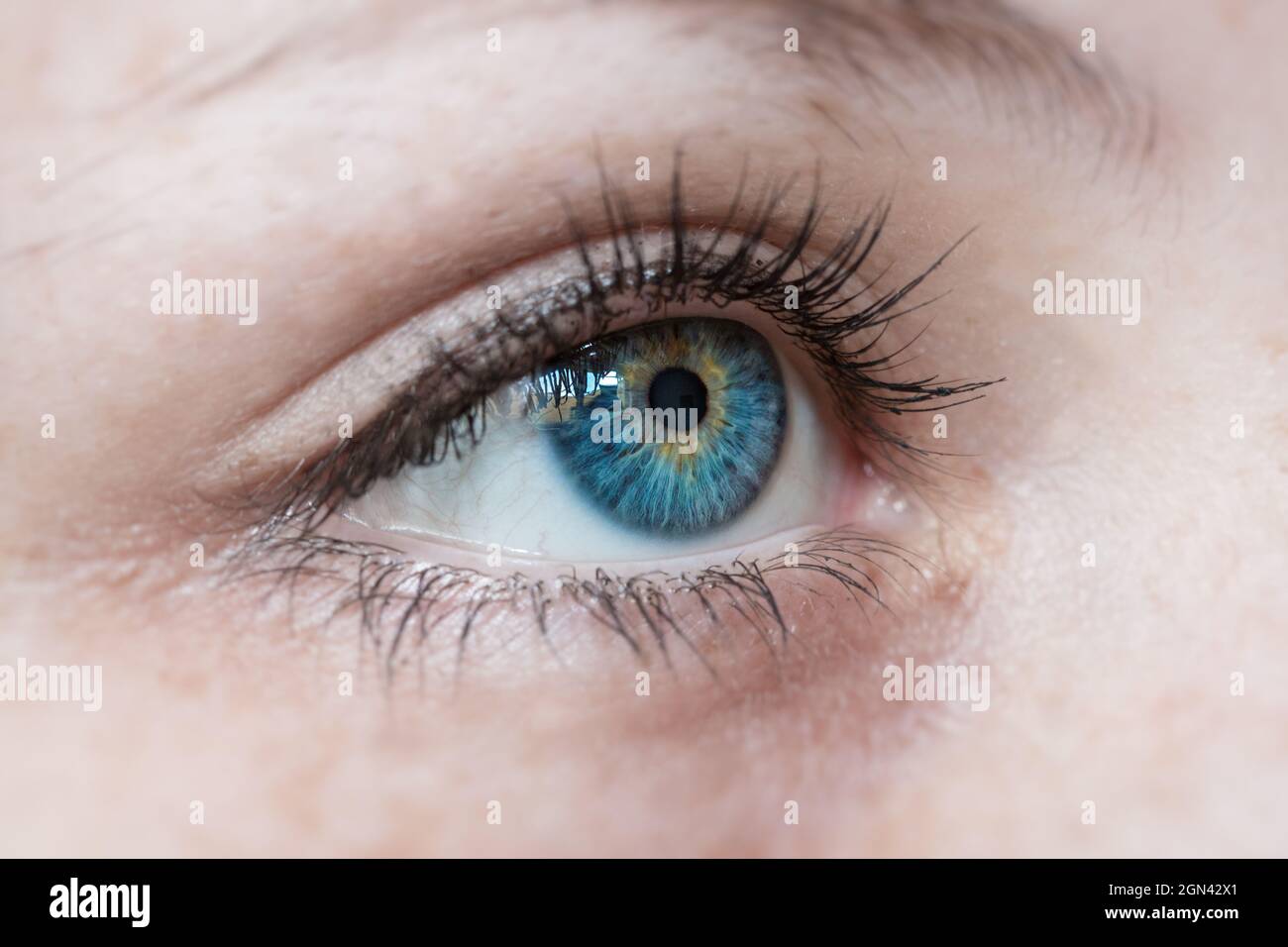 Close up of female blue eyes Stock Photo - Alamy