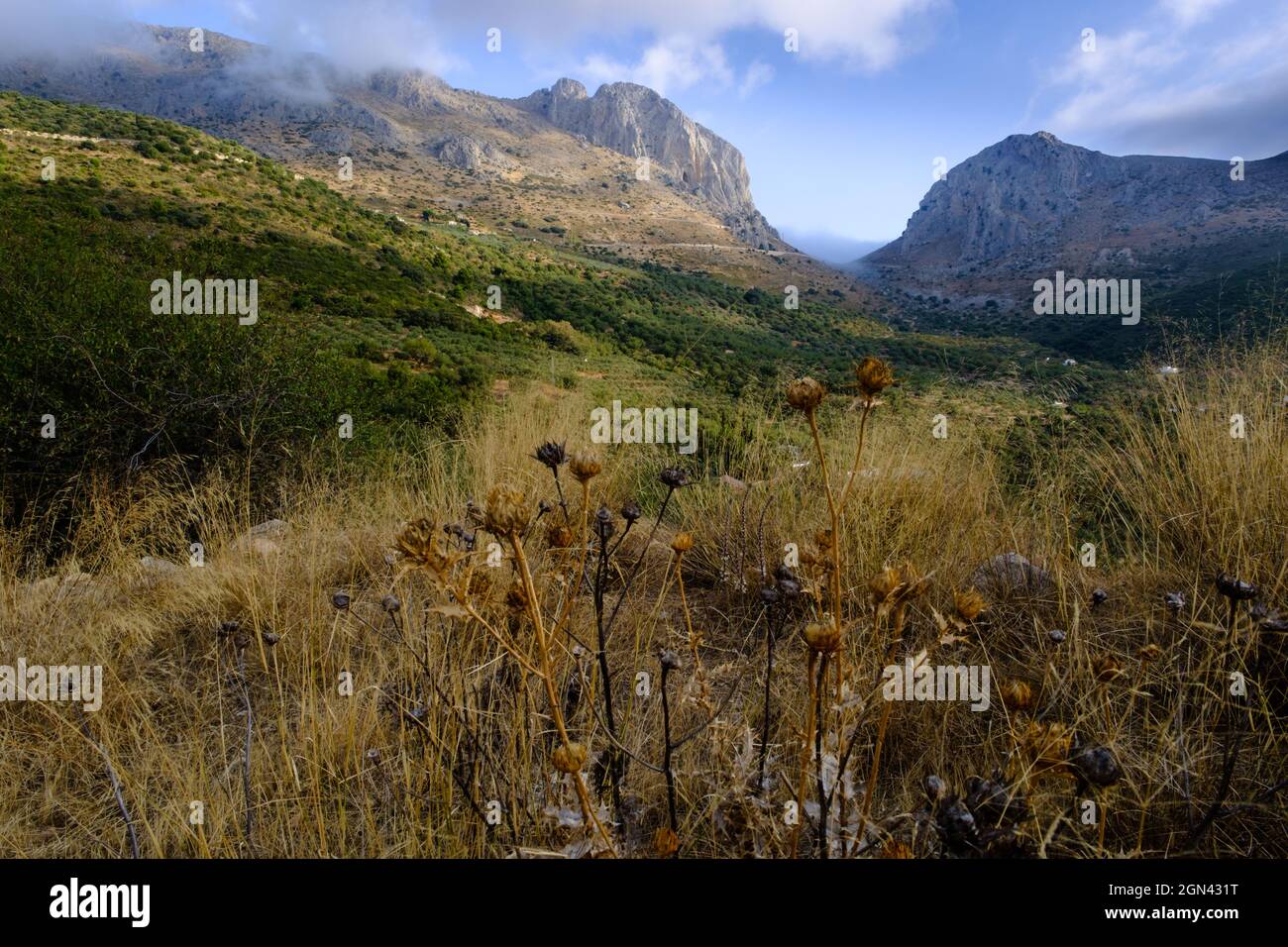 Cueva del boquete de zafarraya hi-res stock photography and images - Alamy