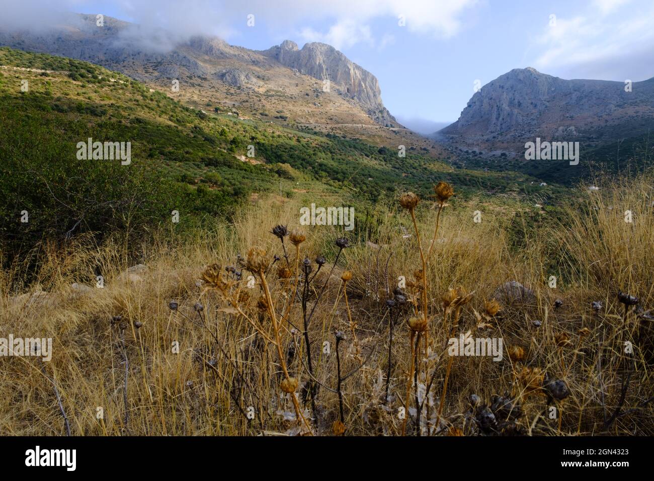 Boquete de zafarraya hi-res stock photography and images - Alamy