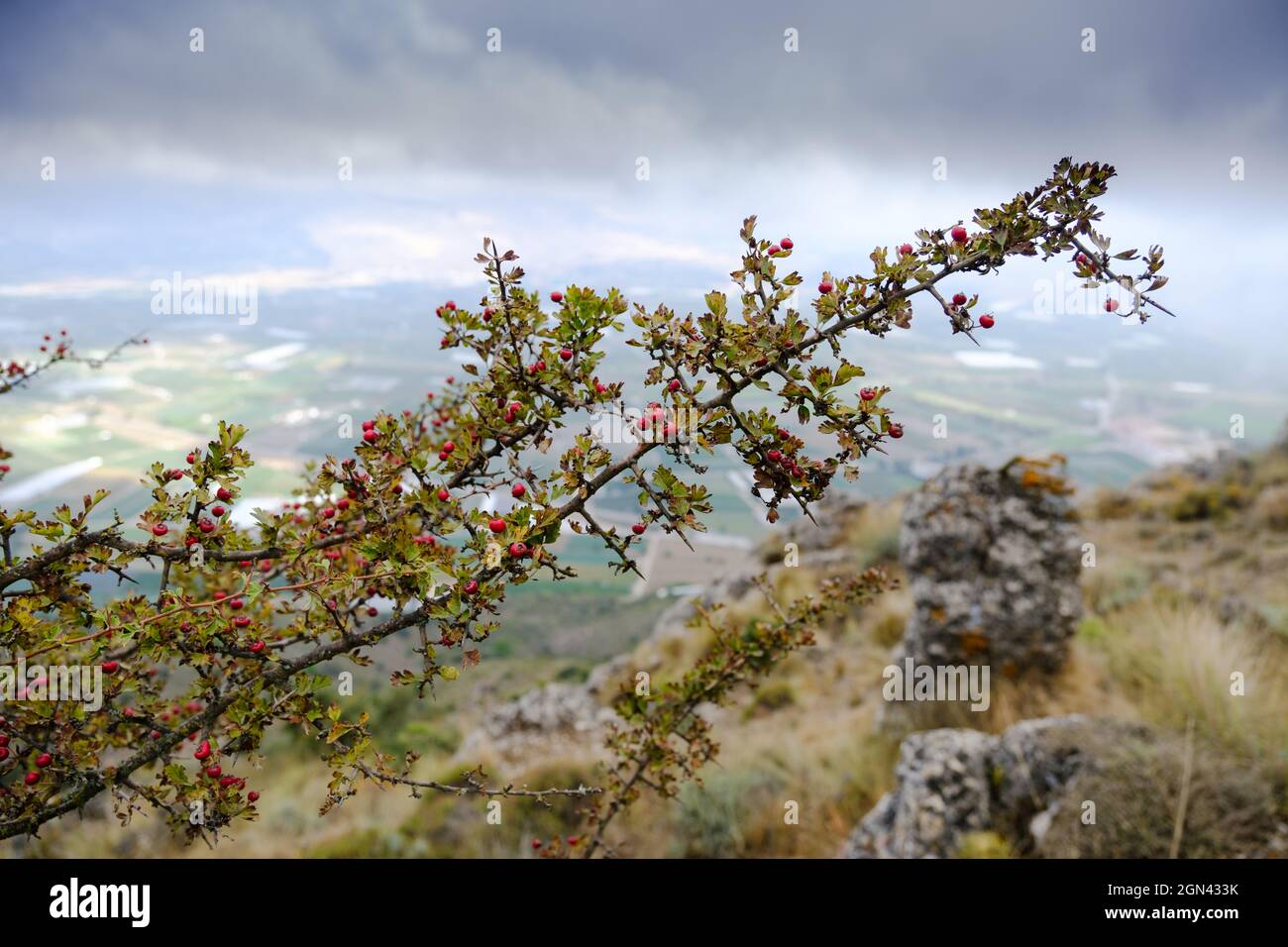 Cueva del boquete de zafarraya hi-res stock photography and images - Alamy