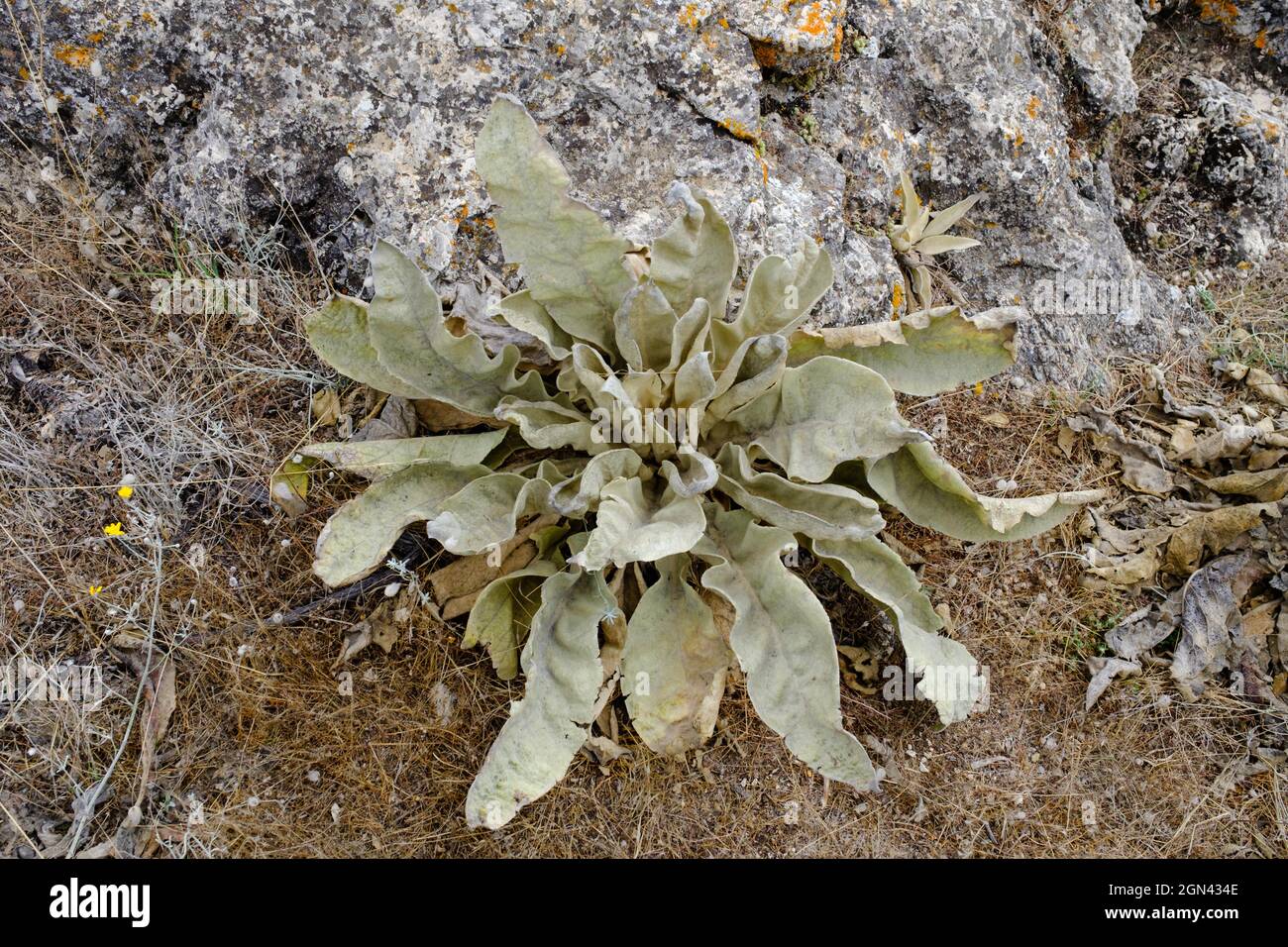 Boquete de zafarraya hi-res stock photography and images - Alamy