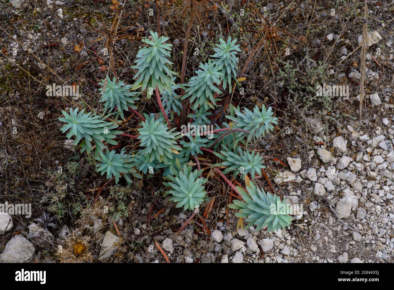 Cueva del boquete de zafarraya hi-res stock photography and images - Alamy