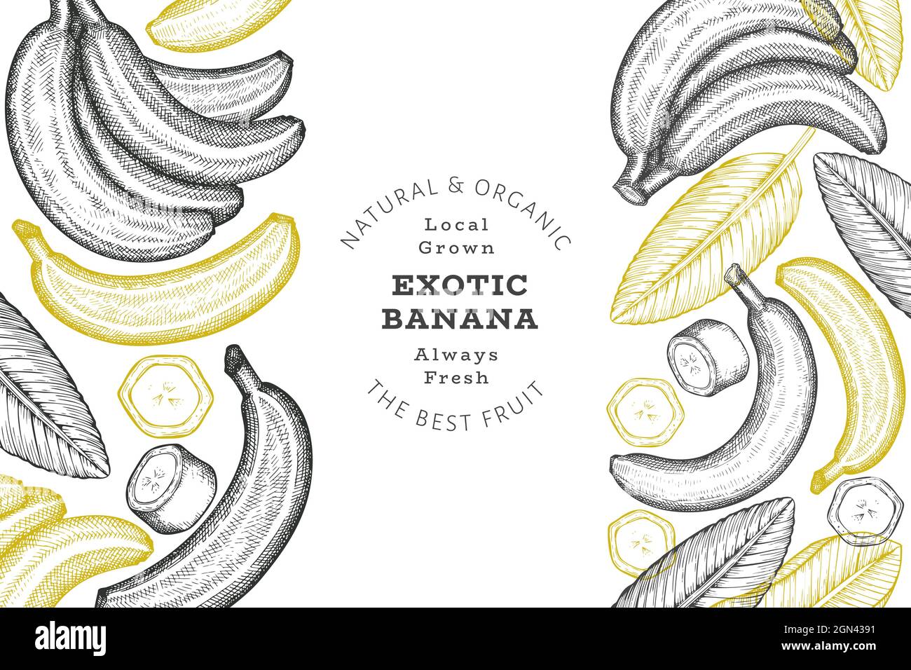 Hand drawn sketch style banana banner. Organic fresh fruit vector ...