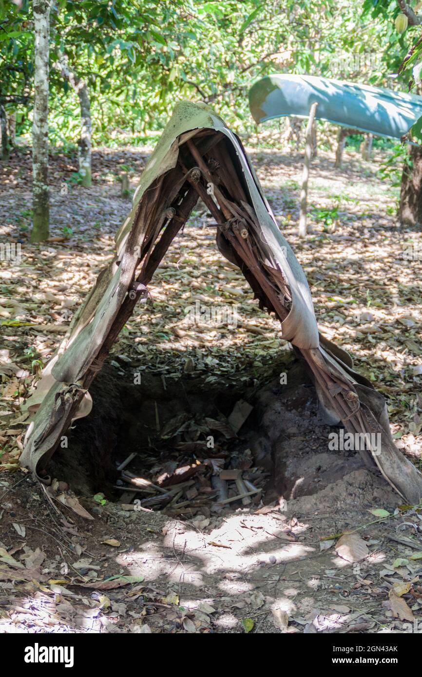 Pig roasting hi-res stock photography and images - Alamy