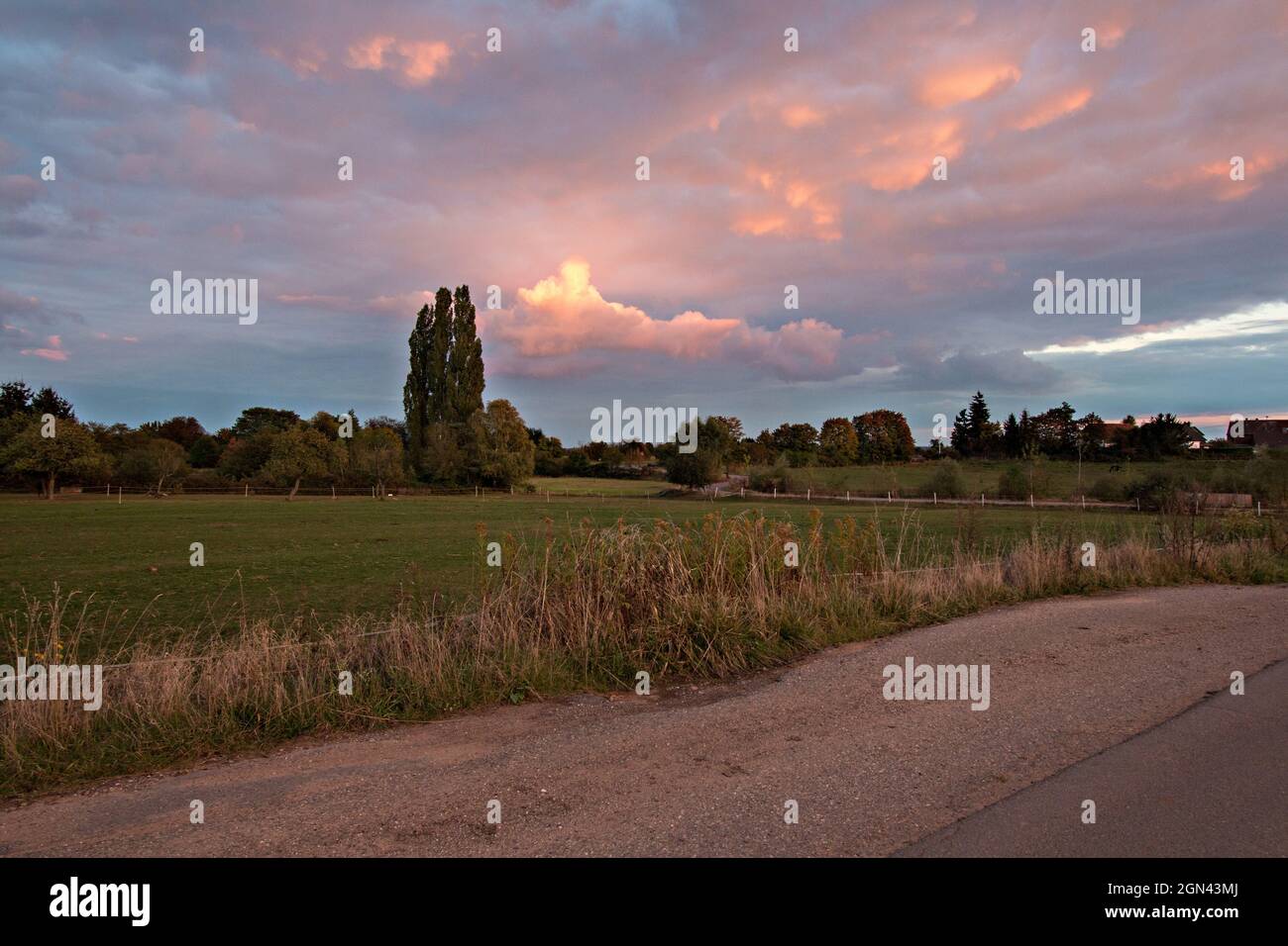 Landscape in Summer Stock Photo - Alamy