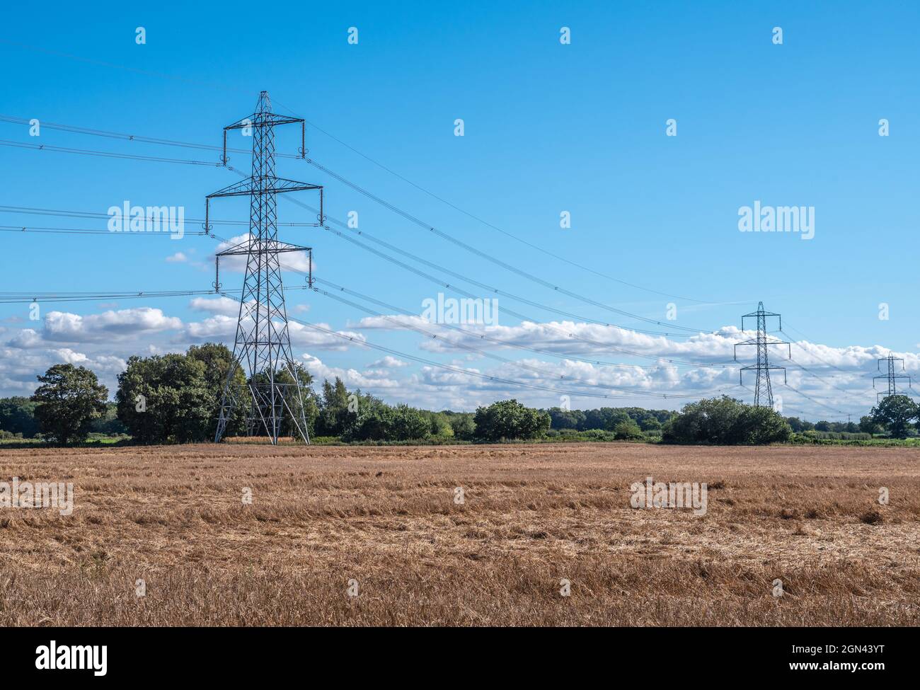 A row of tall pylons across countryside and farmland on a sunny day ...