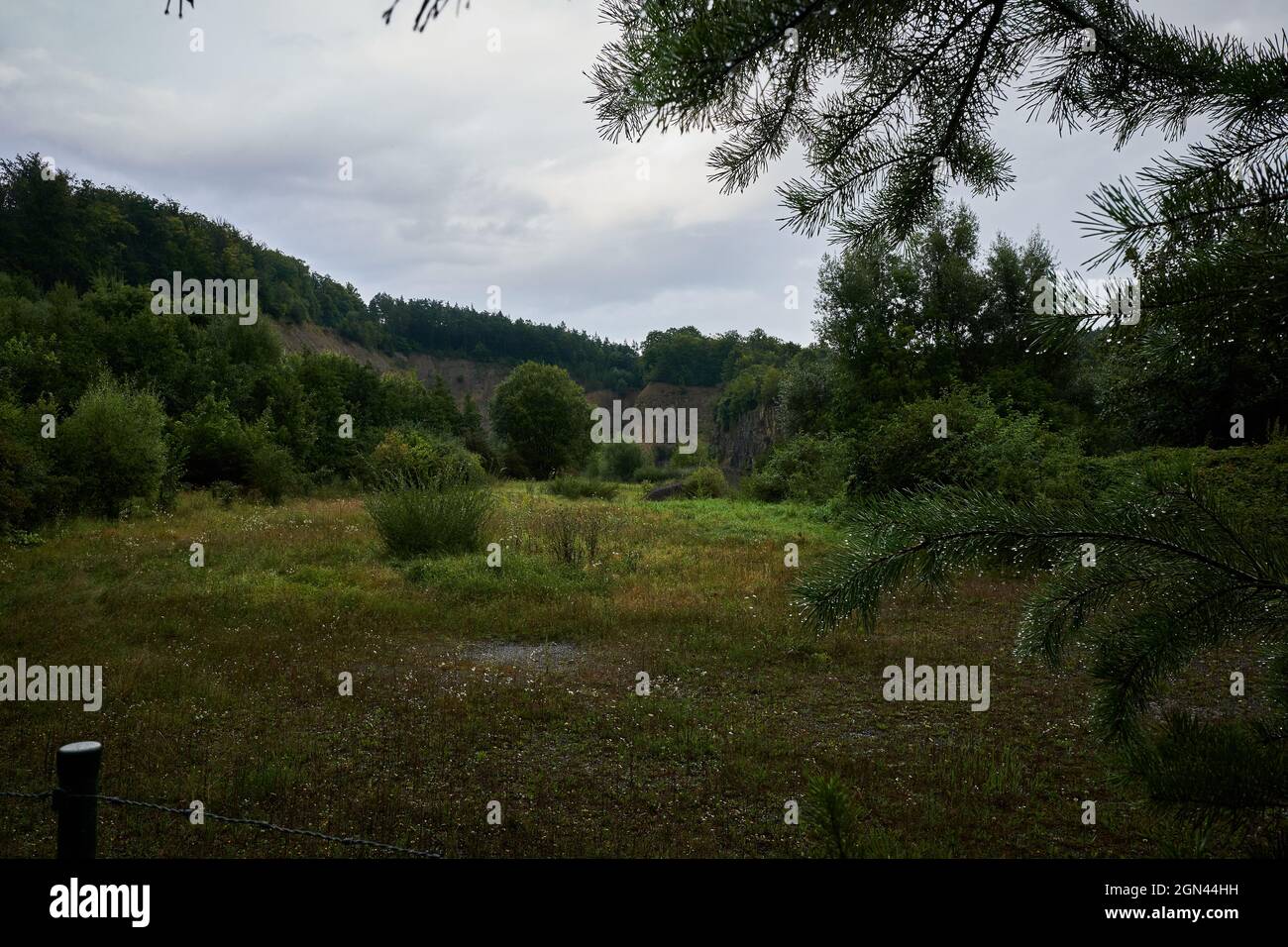 Schonungen hi-res stock photography and images - Alamy