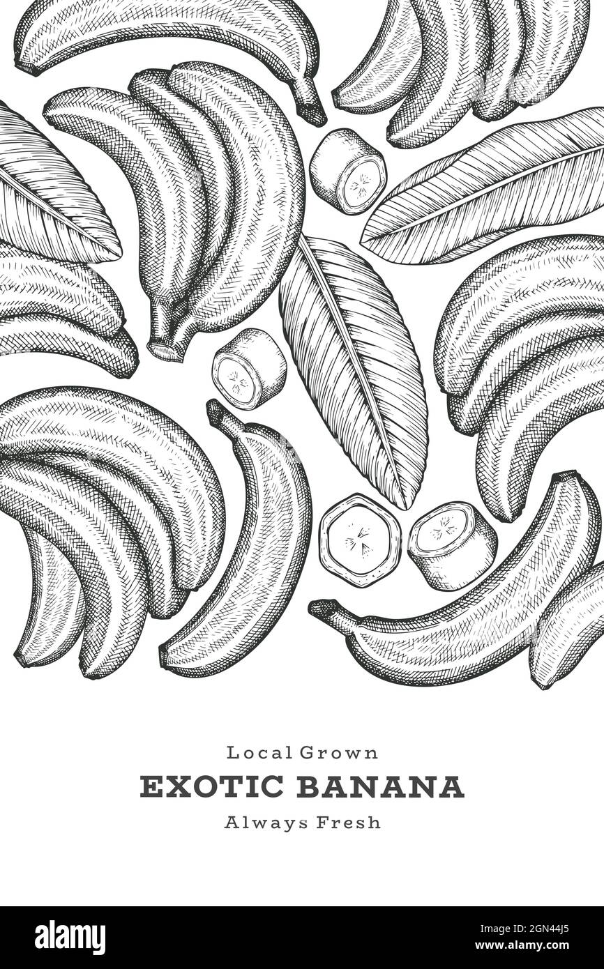 Hand drawn sketch style banana banner. Organic fresh fruit vector ...
