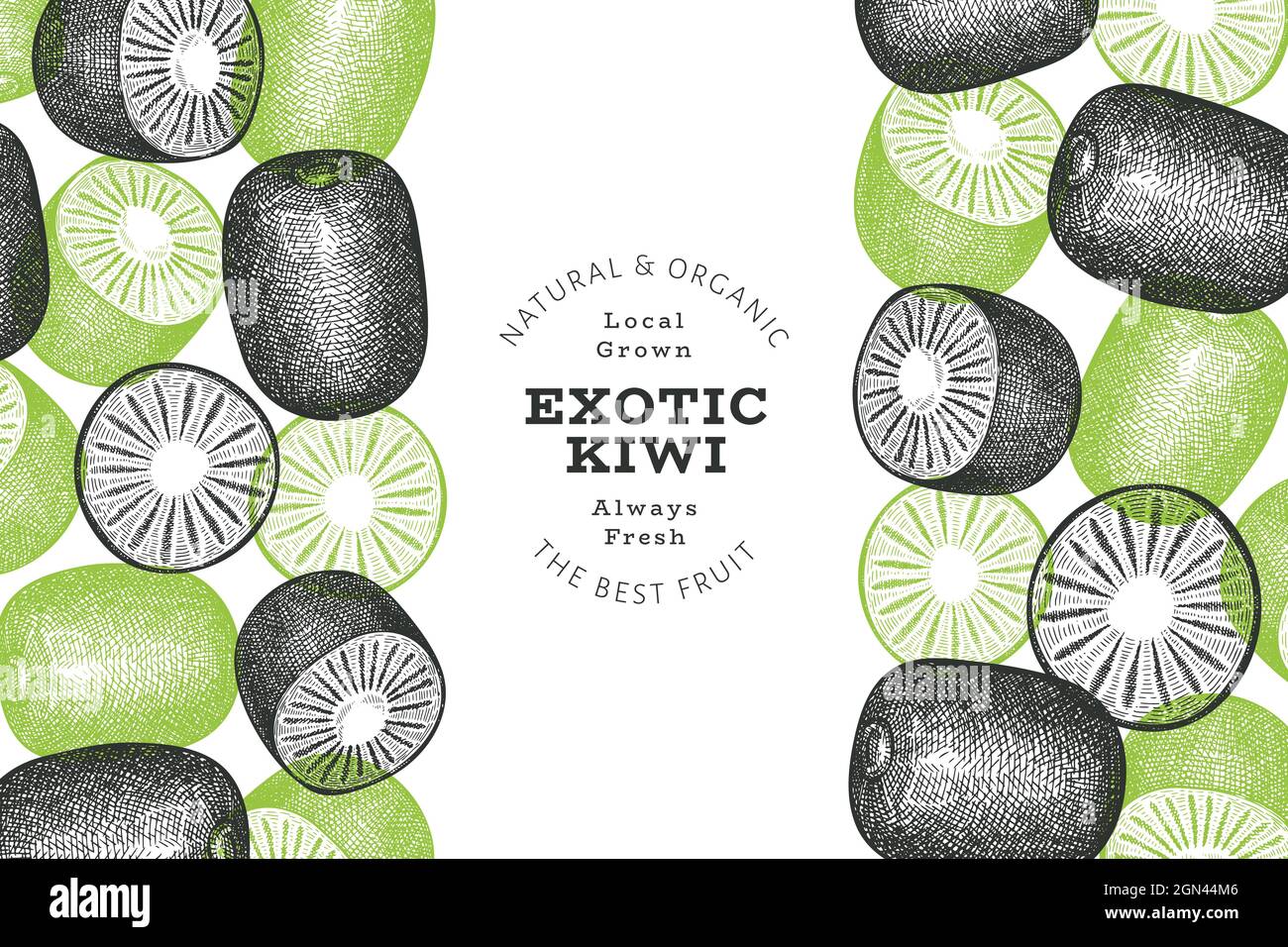 Hand drawn sketch style kiwi banner. Organic fresh fruit vector ...