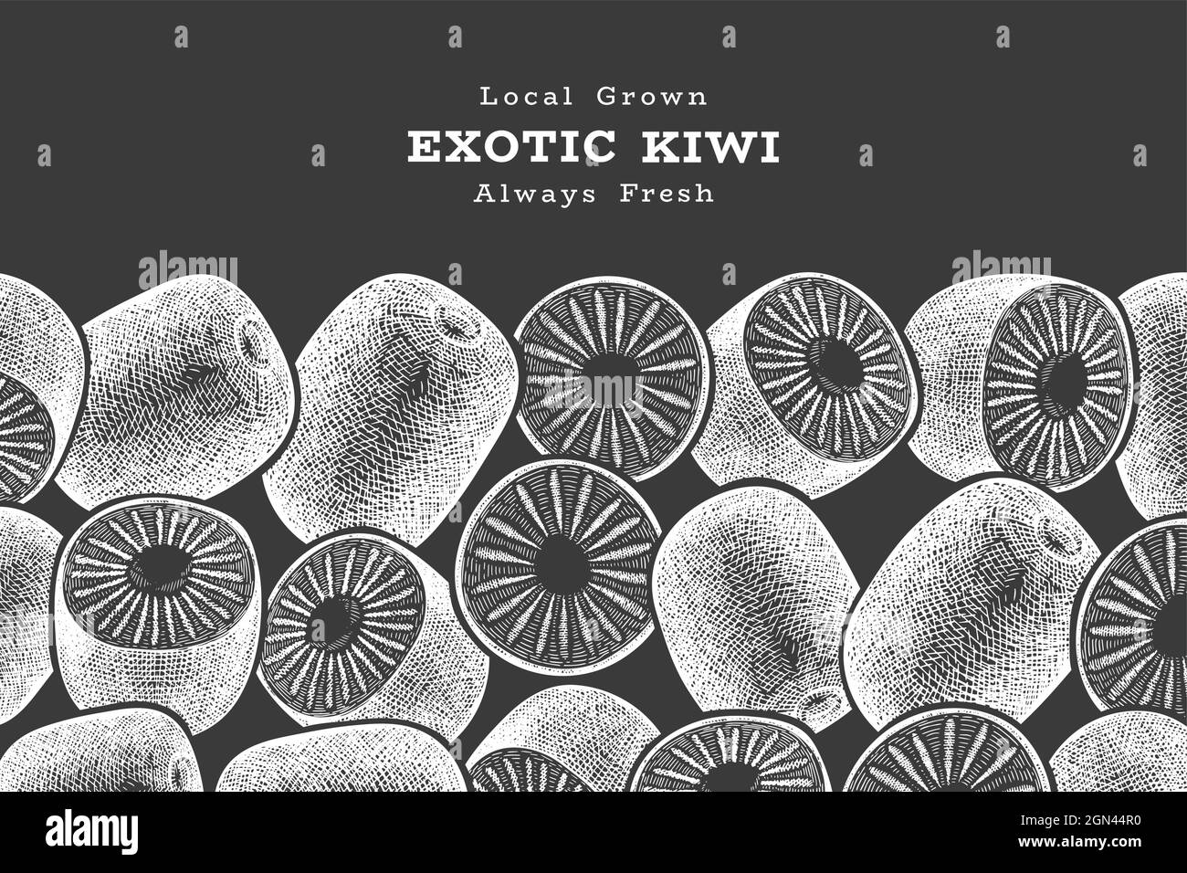 Hand drawn sketch style kiwi banner. Organic fresh fruit vector ...