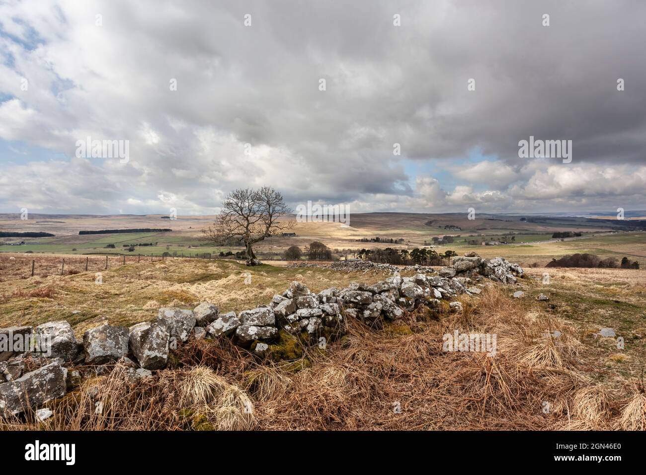 Redesdale, Northumberland, UK Stock Photo - Alamy