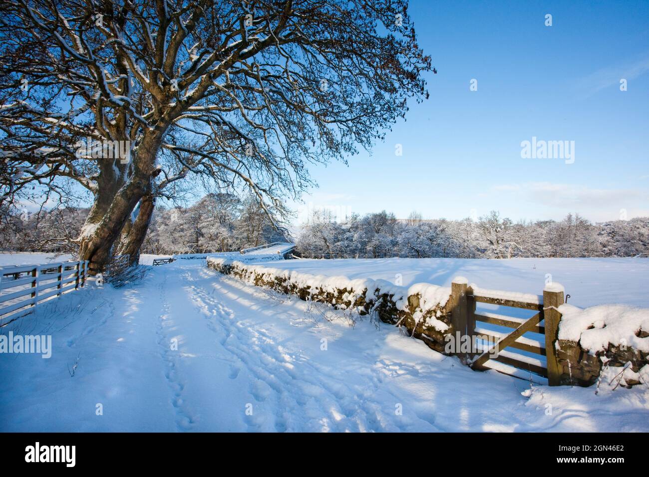 Tarset hi-res stock photography and images - Alamy