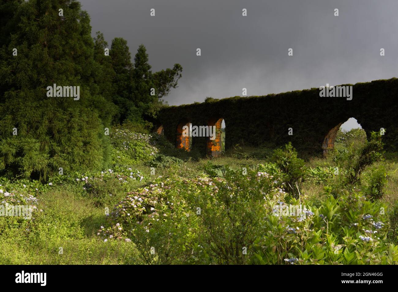 Ancient aqueduct, Sao Miguel island, Azores Stock Photo - Alamy