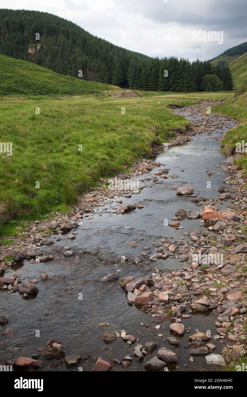 River Alwin, Kidland Forest, Upper Coquetdale, Northumberland, UK Stock ...