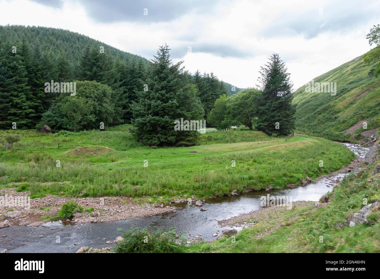 Kidland forest hi-res stock photography and images - Alamy