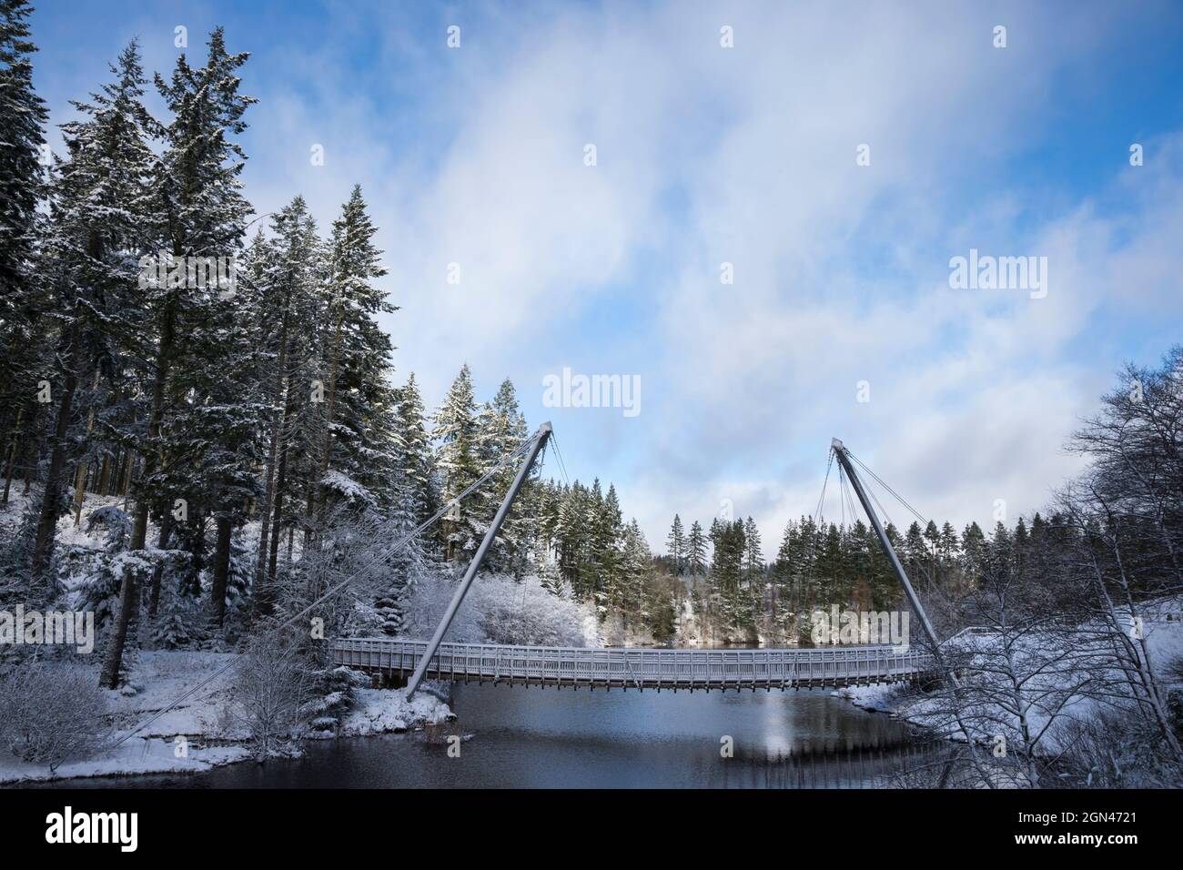 Kielder water and forest park hi-res stock photography and images - Alamy