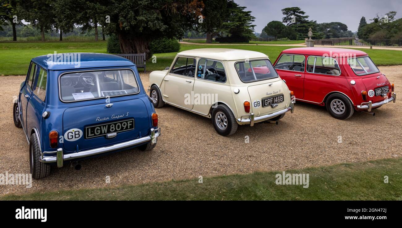 Classic Austin Mini Cooper S's, Italian Job replicas, Concours of ...
