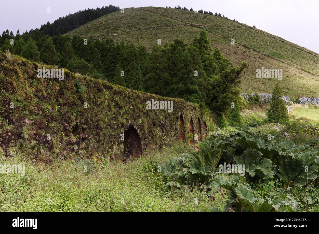 Ancient aqueduct, Sao Miguel island, Azores Stock Photo - Alamy