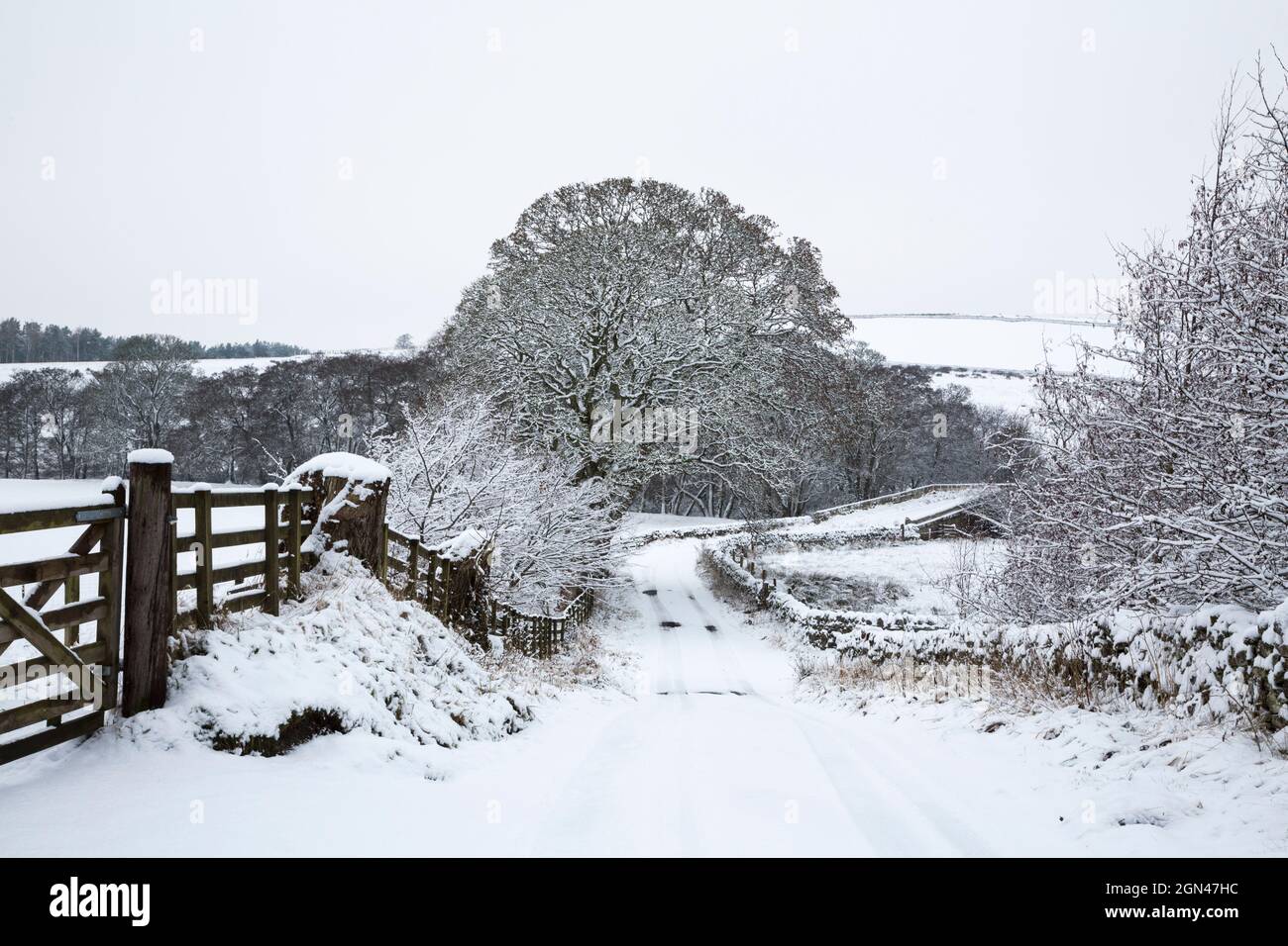 Winter scene, North Tyne Valley, Northumberland national park, UK Stock ...