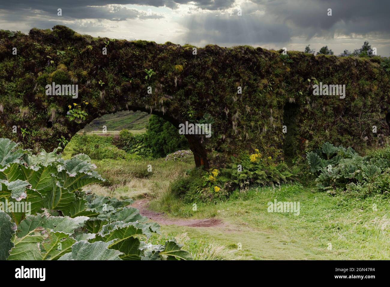 Ancient aqueduct, Sao Miguel island, Azores Stock Photo - Alamy