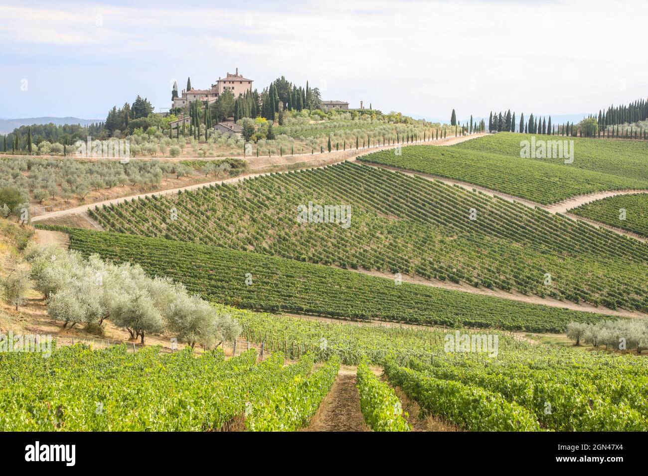 LANDSCAPES OF THE CHIANTI REGION,TUSCANY,ITALY Stock Photo - Alamy