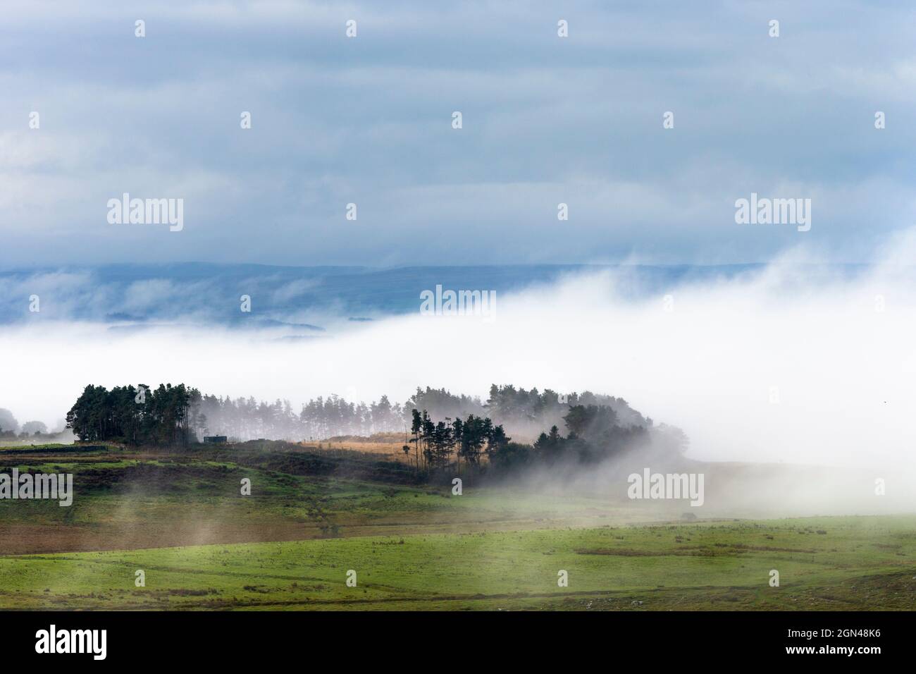 Misty landscape, Redesdale, Northumberland, UK Stock Photo - Alamy
