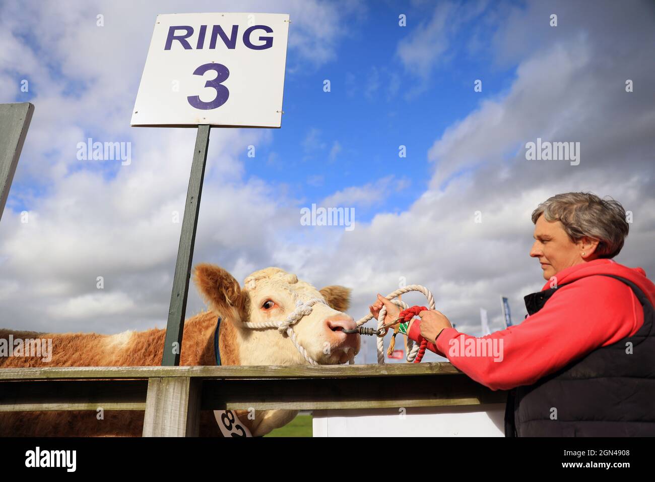 Jane henderson hi-res stock photography and images - Alamy