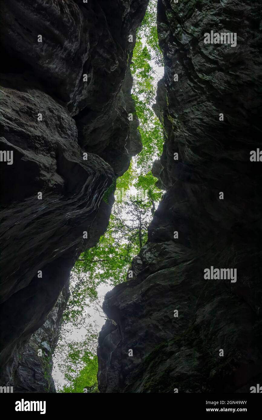 Deep layering hi-res stock photography and images - Alamy