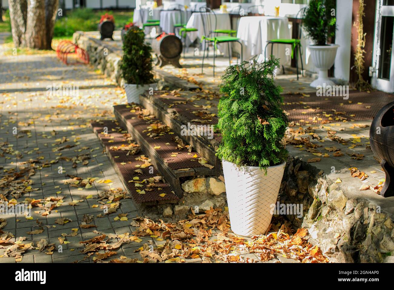 A nice entrance of a luxury house over outdoor landscape Stock Photo ...