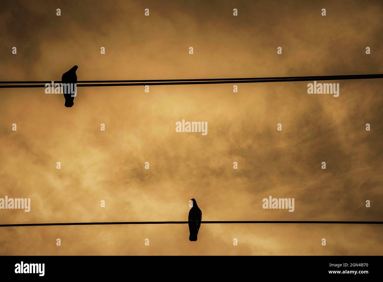 Dark lines hi-res stock photography and images - Alamy