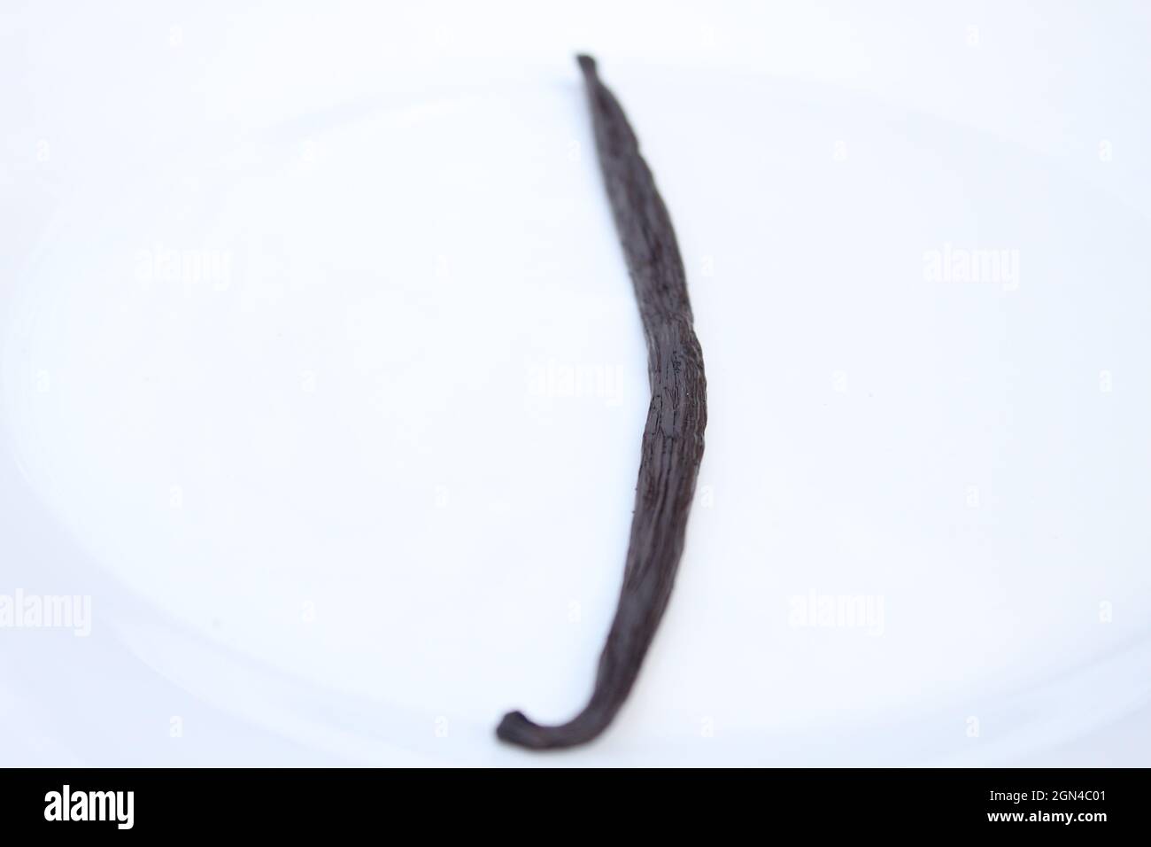 Dried vanilla bean isolated on white background Stock Photo - Alamy