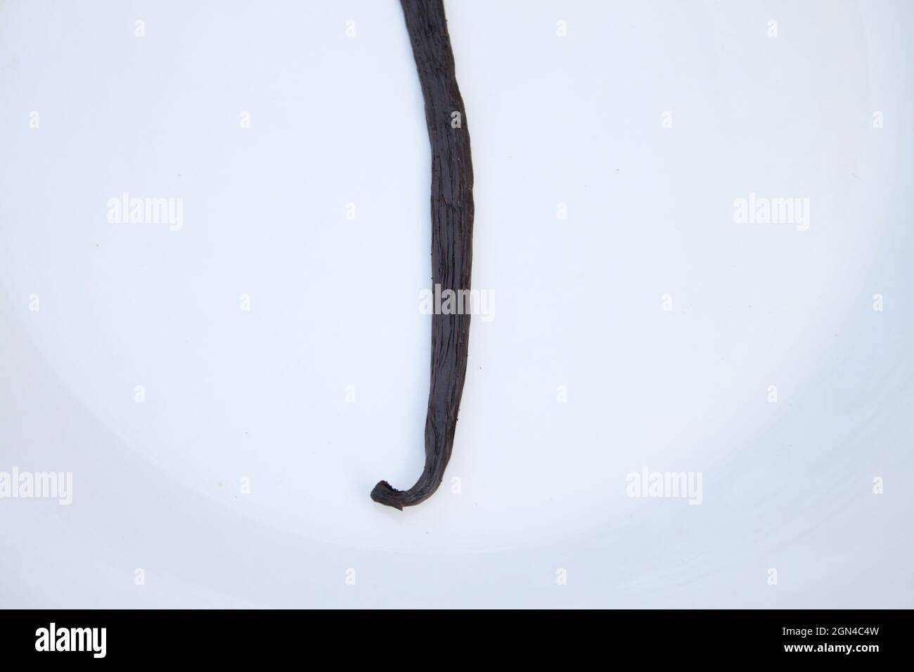 Dried vanilla bean isolated on white background Stock Photo - Alamy