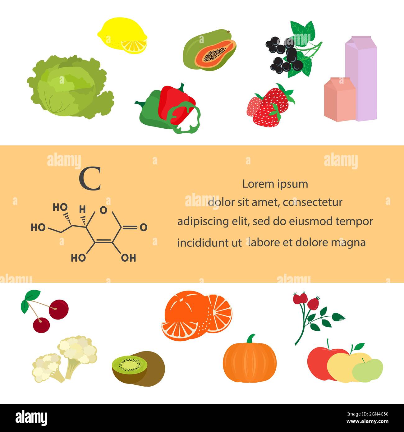 Vector illustration Vitamin C sources. Healthy food natural antioxidant ...
