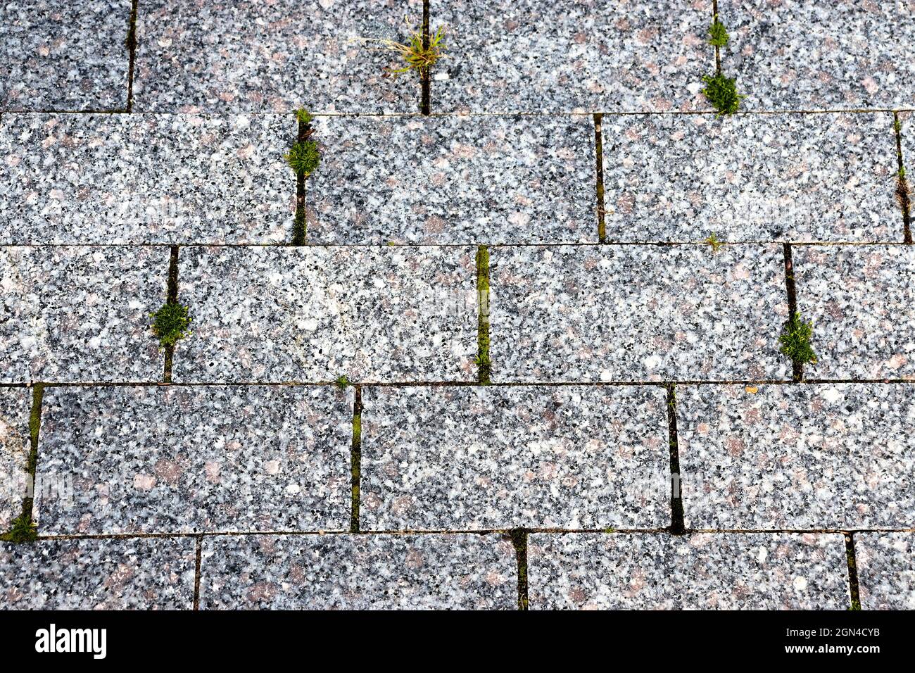 pavement or road, blocks Stock Photo - Alamy