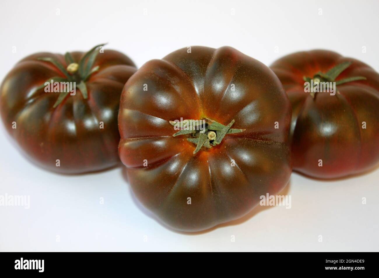Tomato primora isolated on light background Stock Photo - Alamy